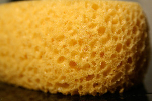 Tips for Waffle Iron Care - In the Kitchen with Waffle Pantry